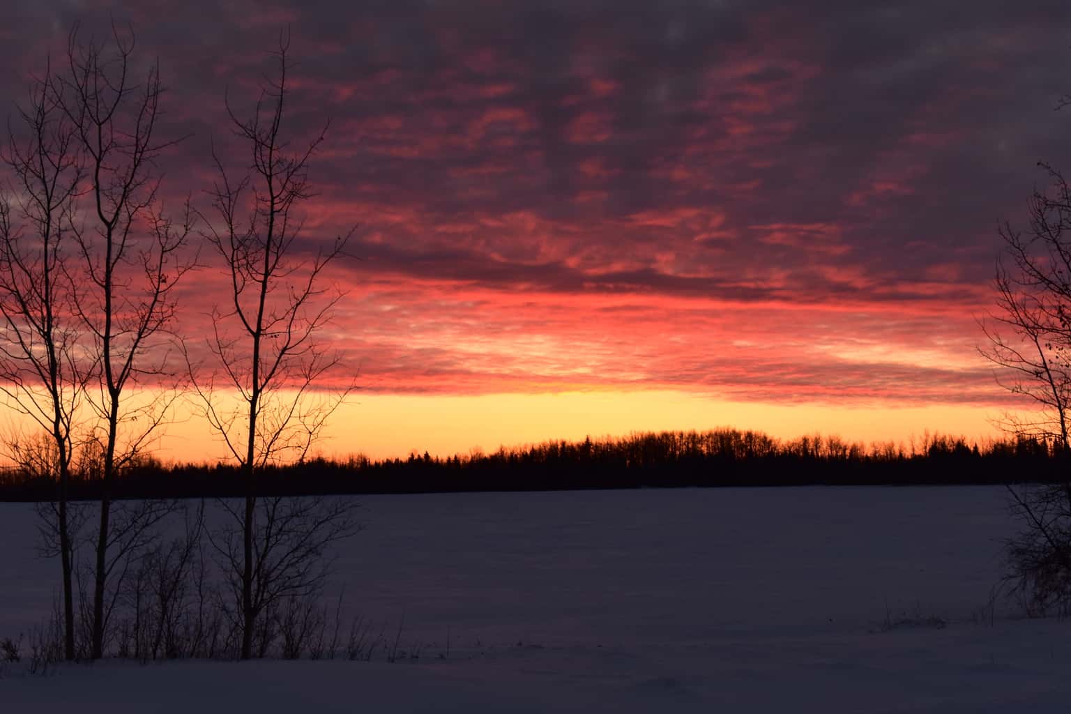 FRIAA Caribou Habitat Recovery Program (CHRP) Request for Proposals ...