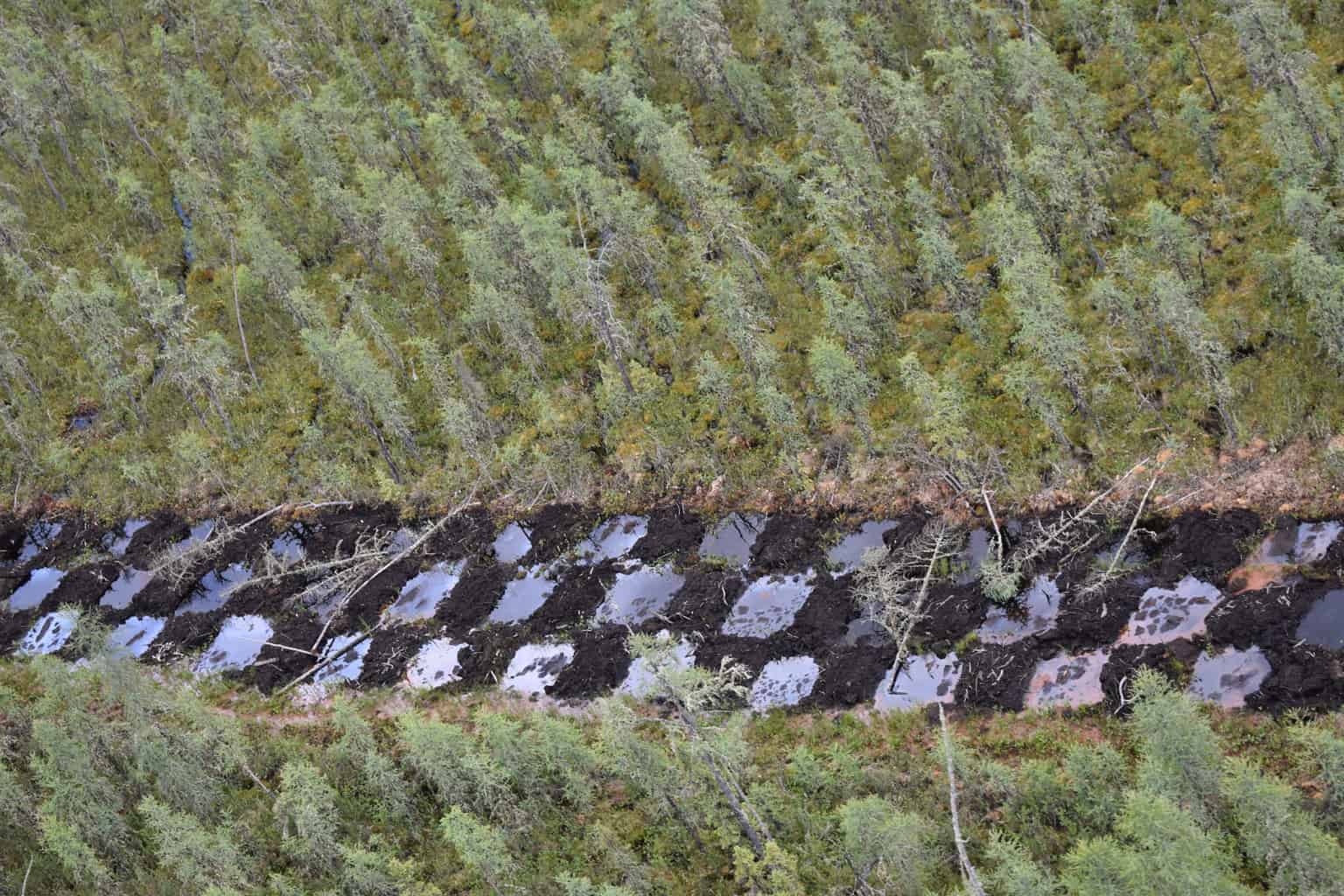 DSC_0361 - Forest Resource Improvement Association Of Alberta