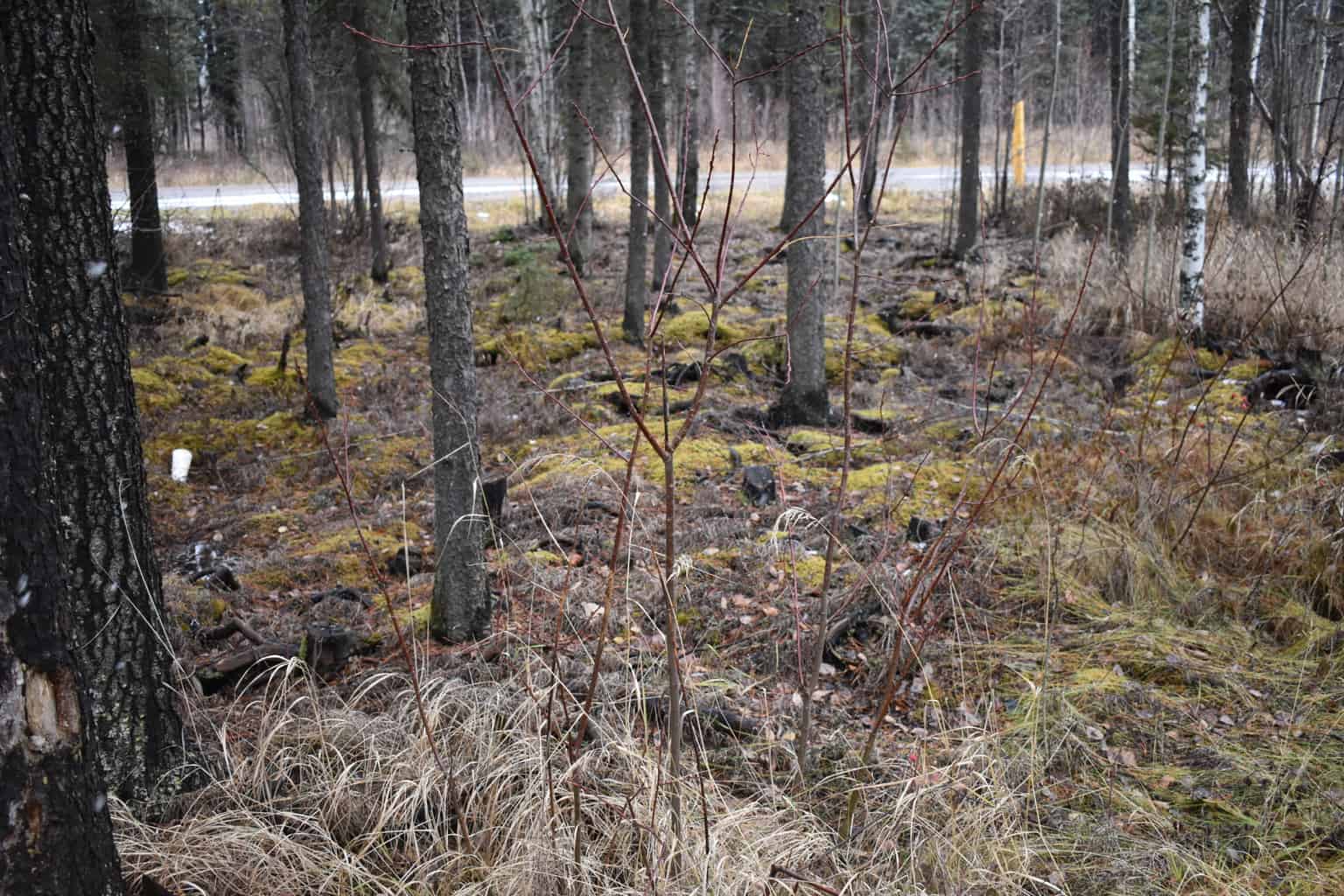 FRIAA FireSmart Program - Request for Expressions of Interest - January ...