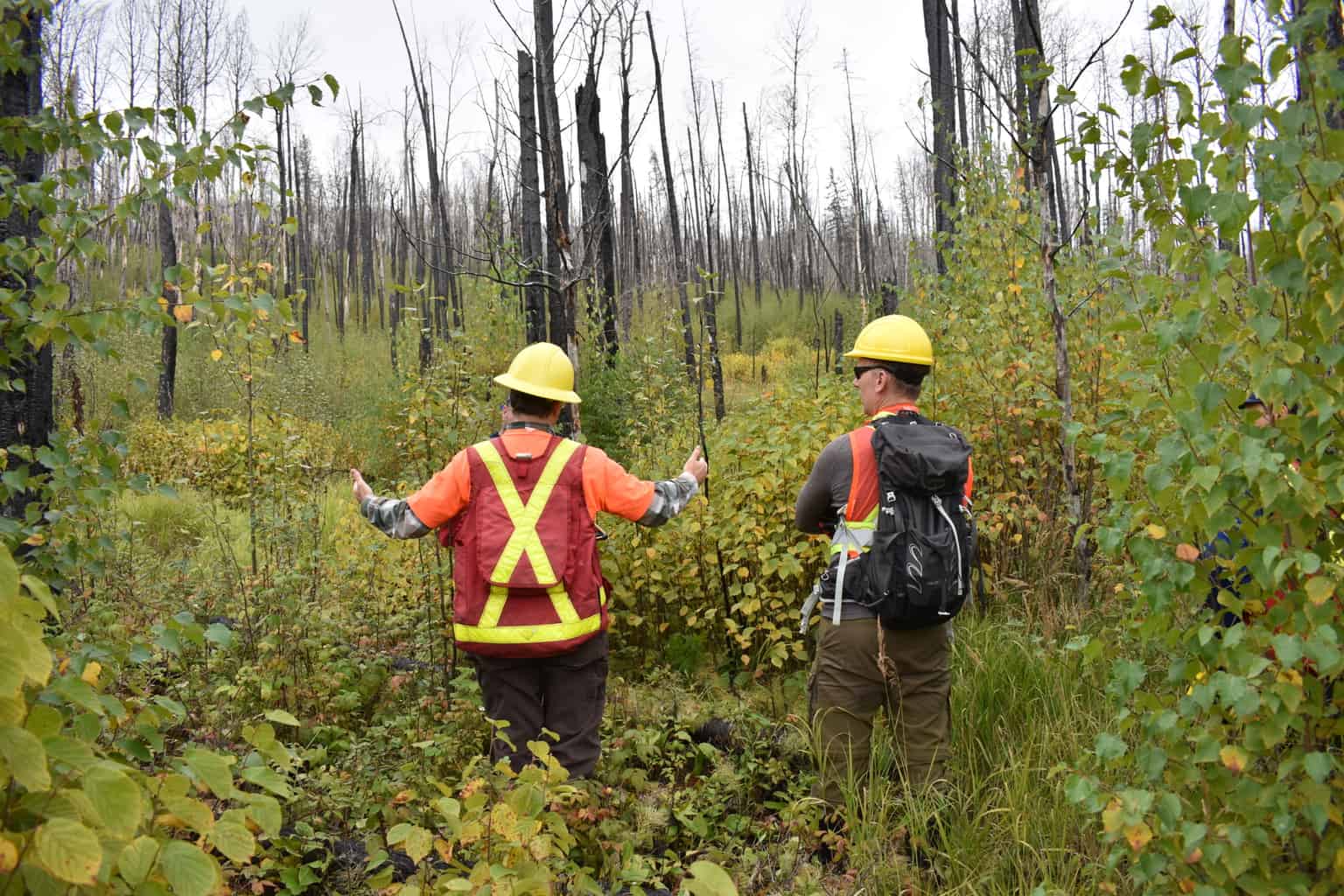 DSC_0035 - Forest Resource Improvement Association Of Alberta