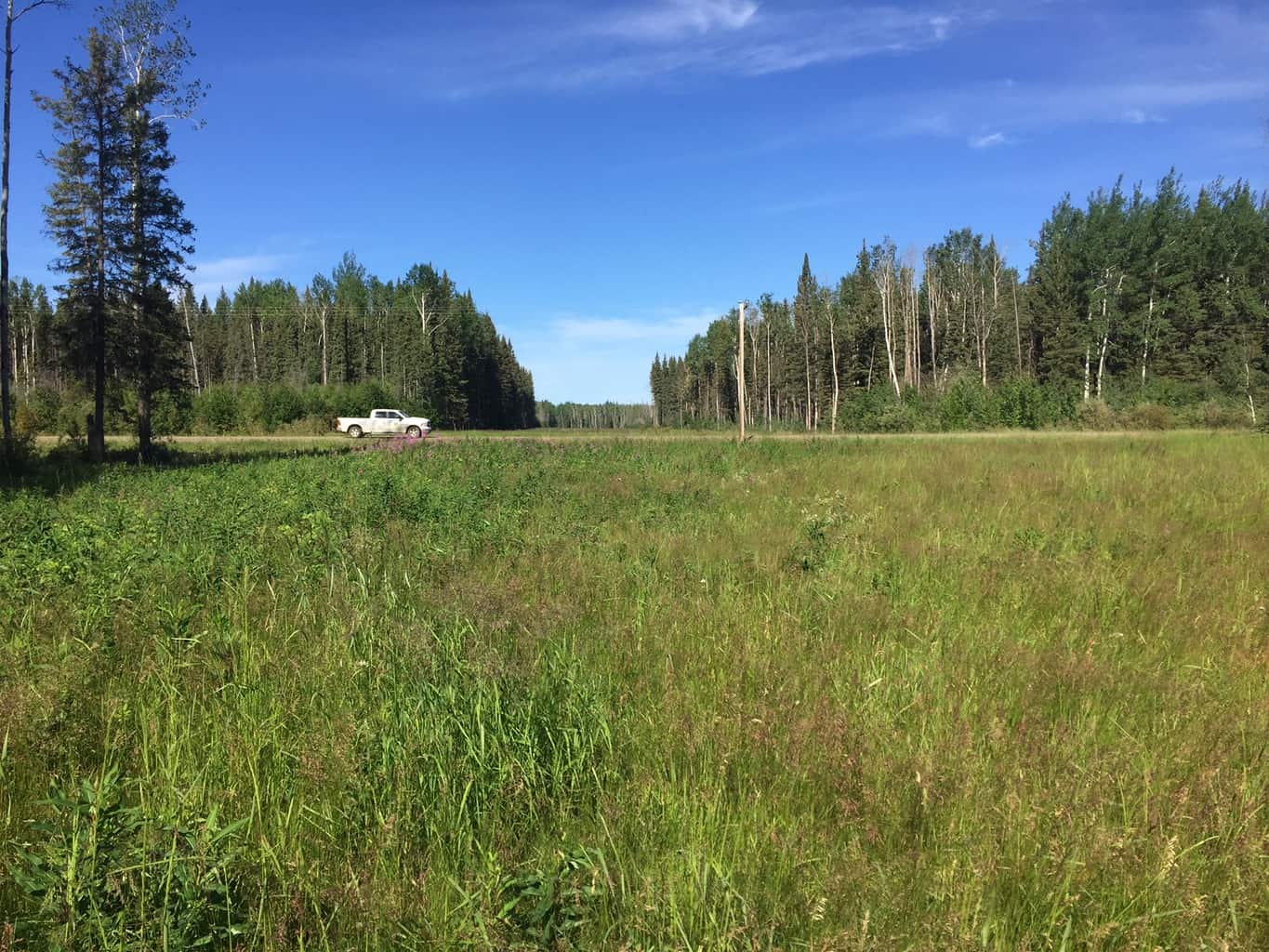 Community Fireguard Program - Forest Resource Improvement Association ...