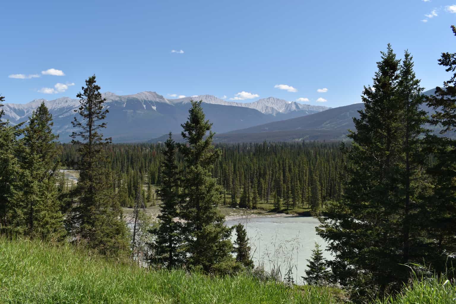 DSC_0353 - Forest Resource Improvement Association Of Alberta