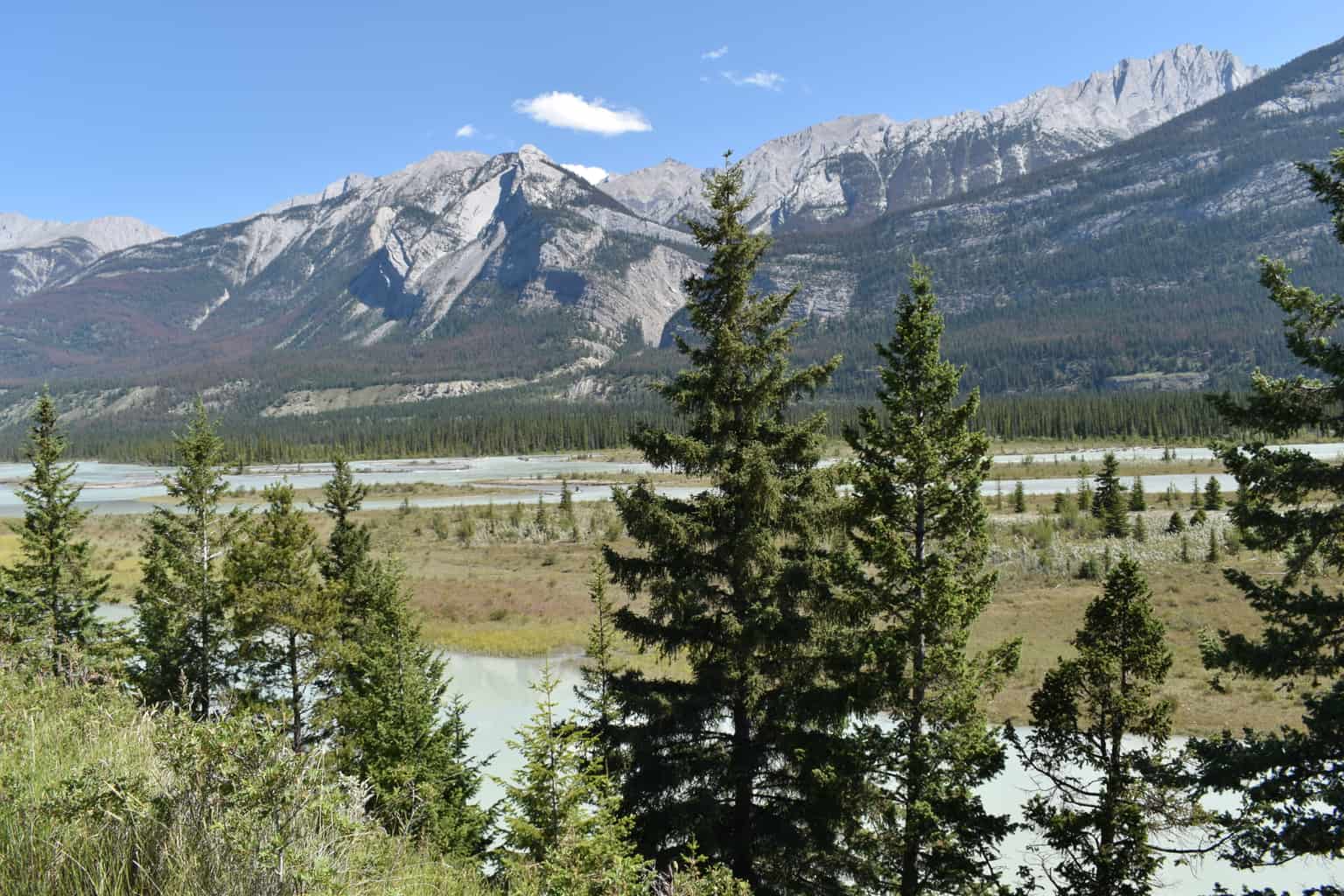 Home - Forest Resource Improvement Association Of Alberta