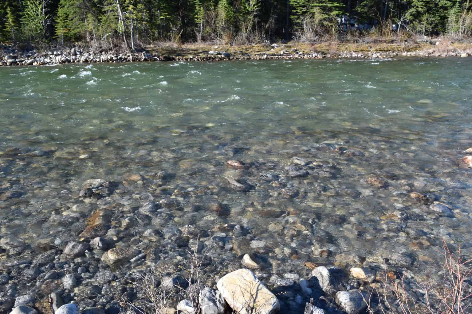 OTHER PROGRAMS (COMPLETED) - Forest Resource Improvement Association Of ...