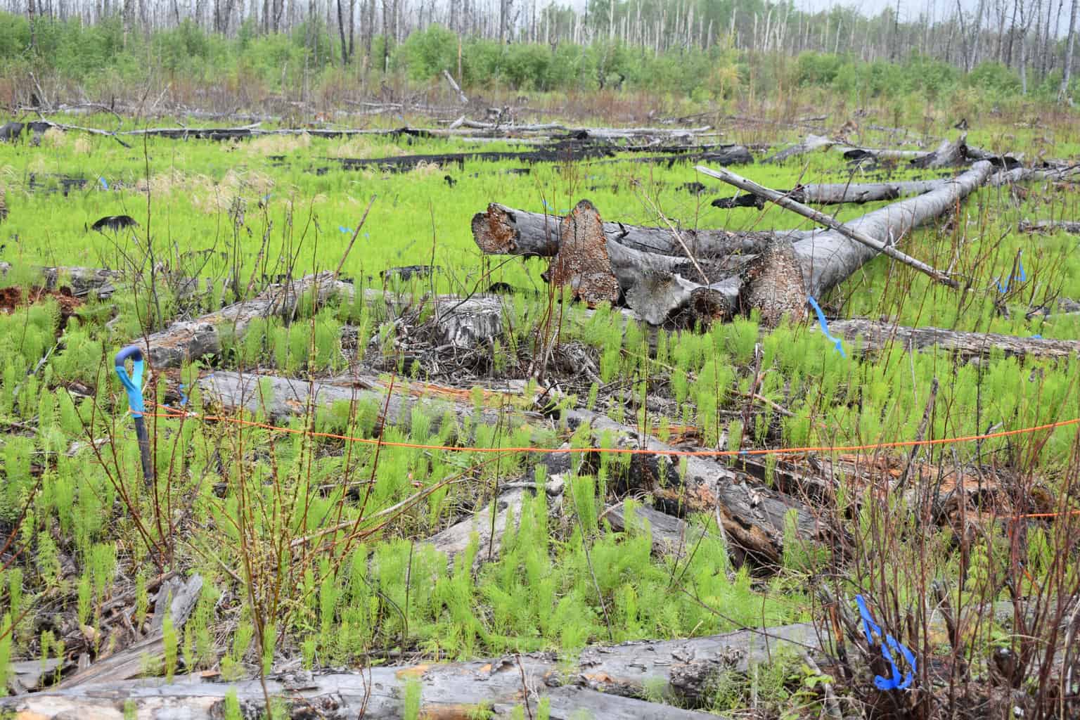 EnRLD Program - 2023 Site Assessment Project - Request for Proposals ...